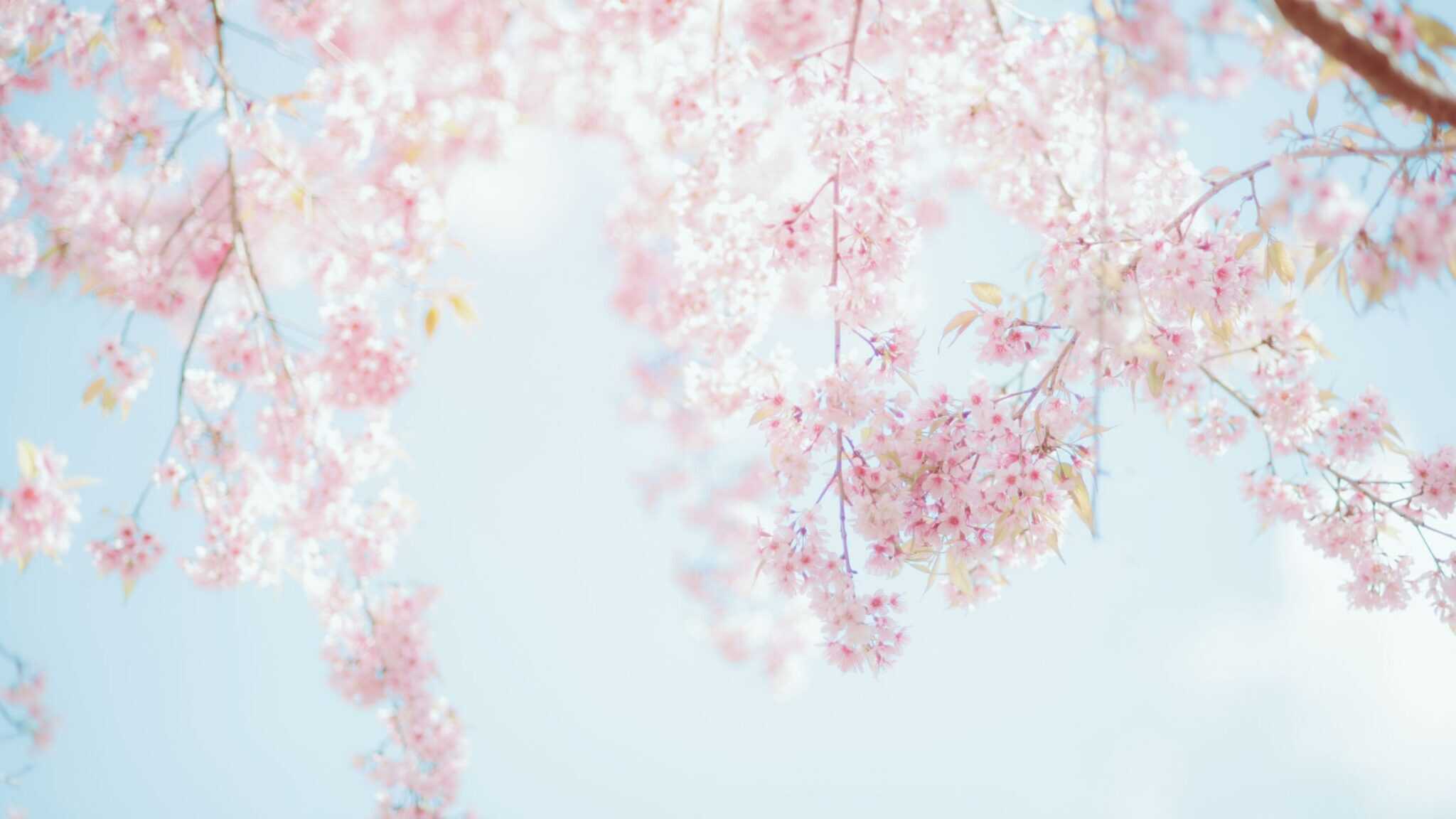 7 Beautiful Soul Poems to Inspire Your Inner Beauty - Her Soul is Beautiful