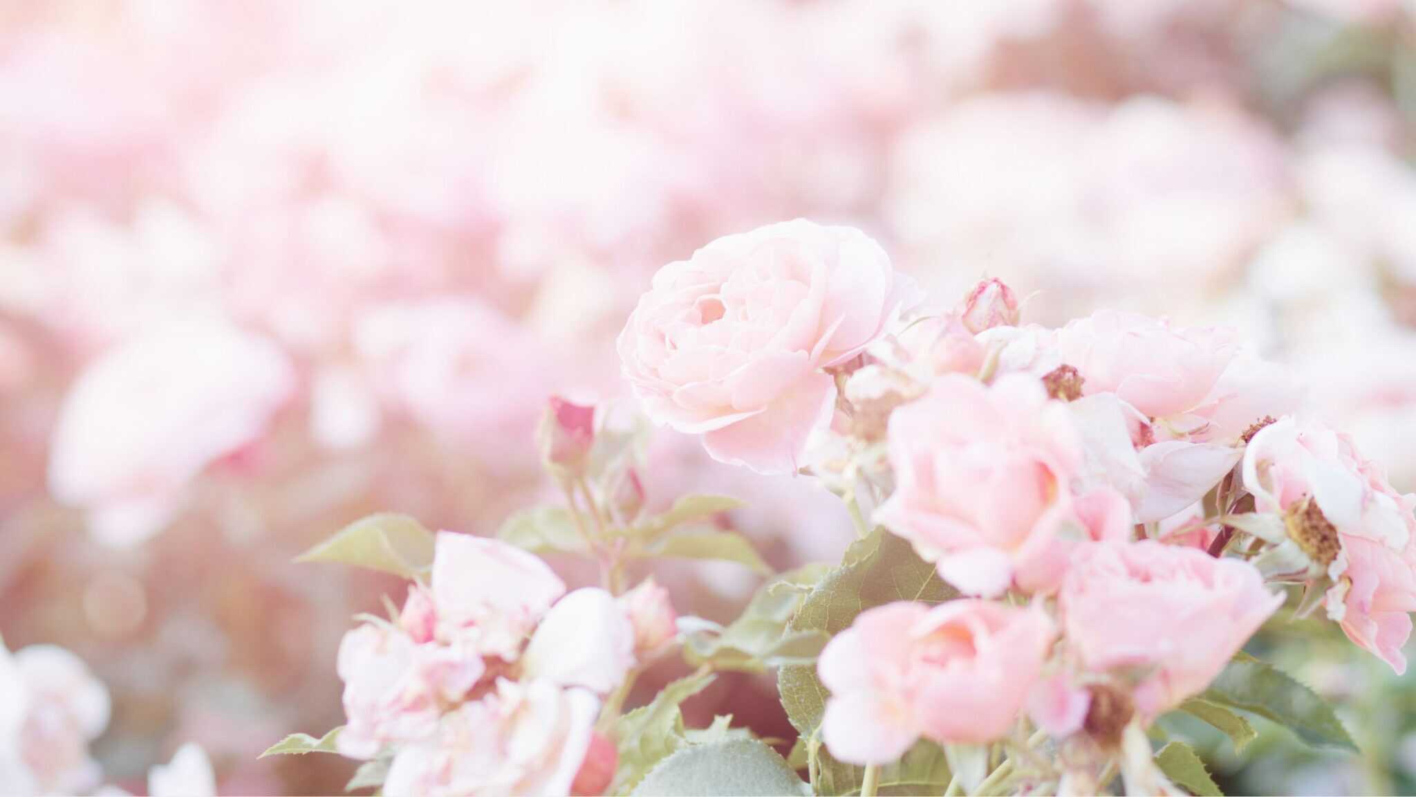 12 Beautiful Goodnight Prayers for Blessings + Peace - Her Soul is ...