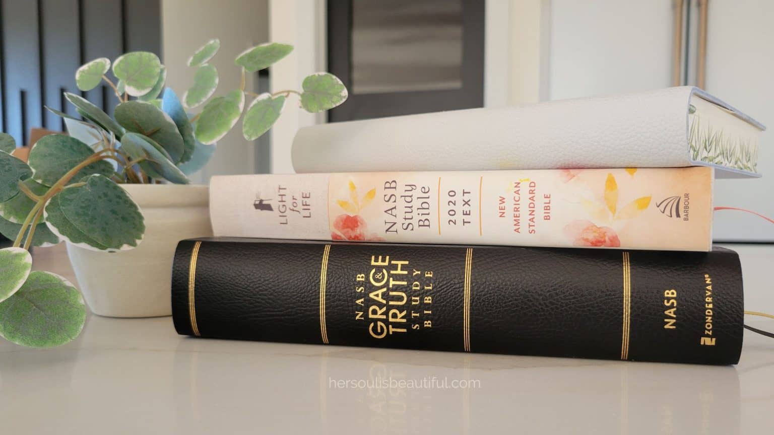 8 Best NASB Study Bibles for Women - Her Soul is Beautiful