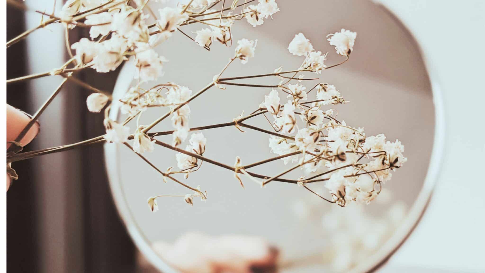 20 Bible Verses About Beauty: Embracing God’s Definition of True Beauty ...