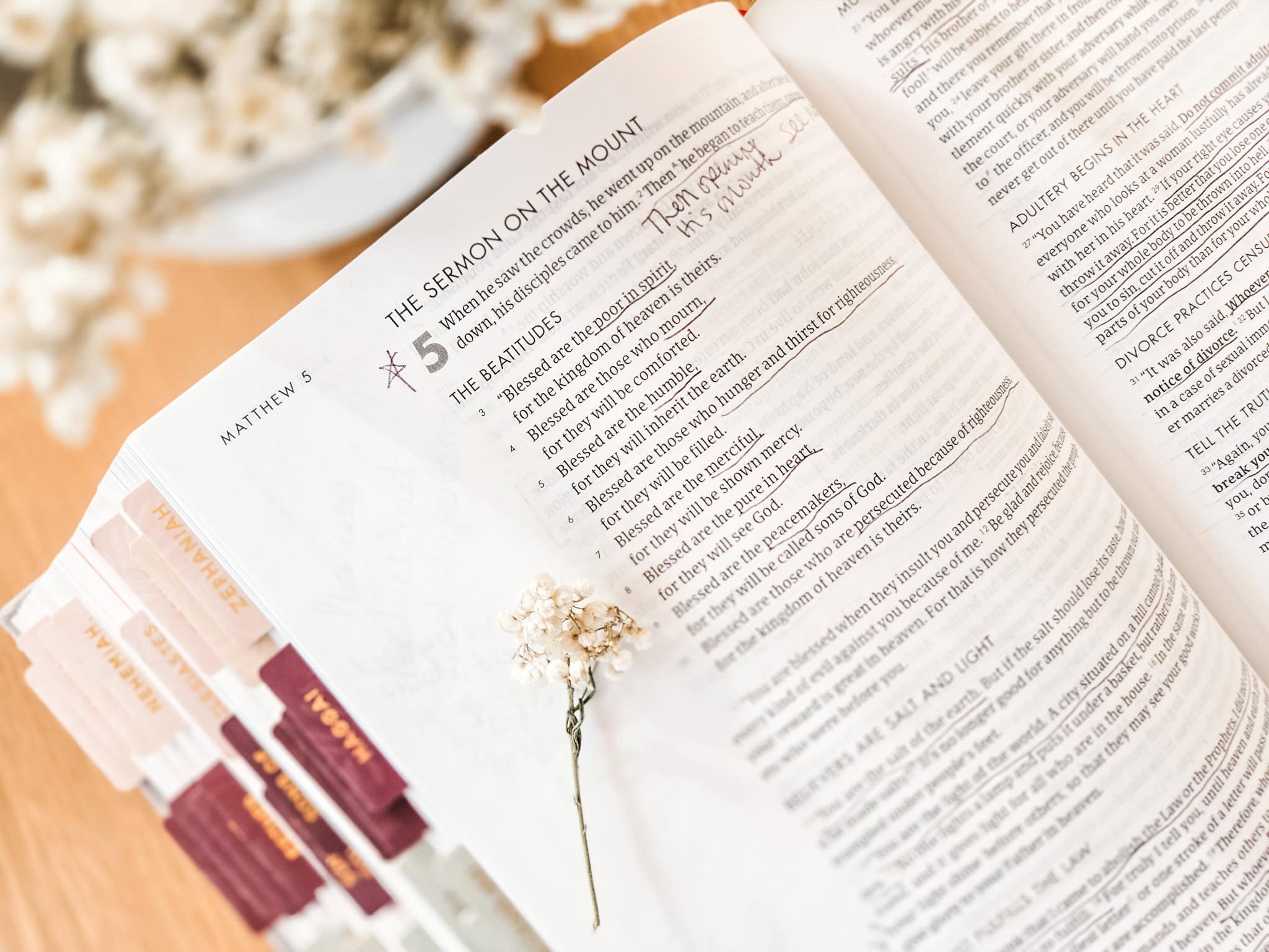 20 Bible Verses About Beauty: Embracing God’s Definition of True Beauty ...